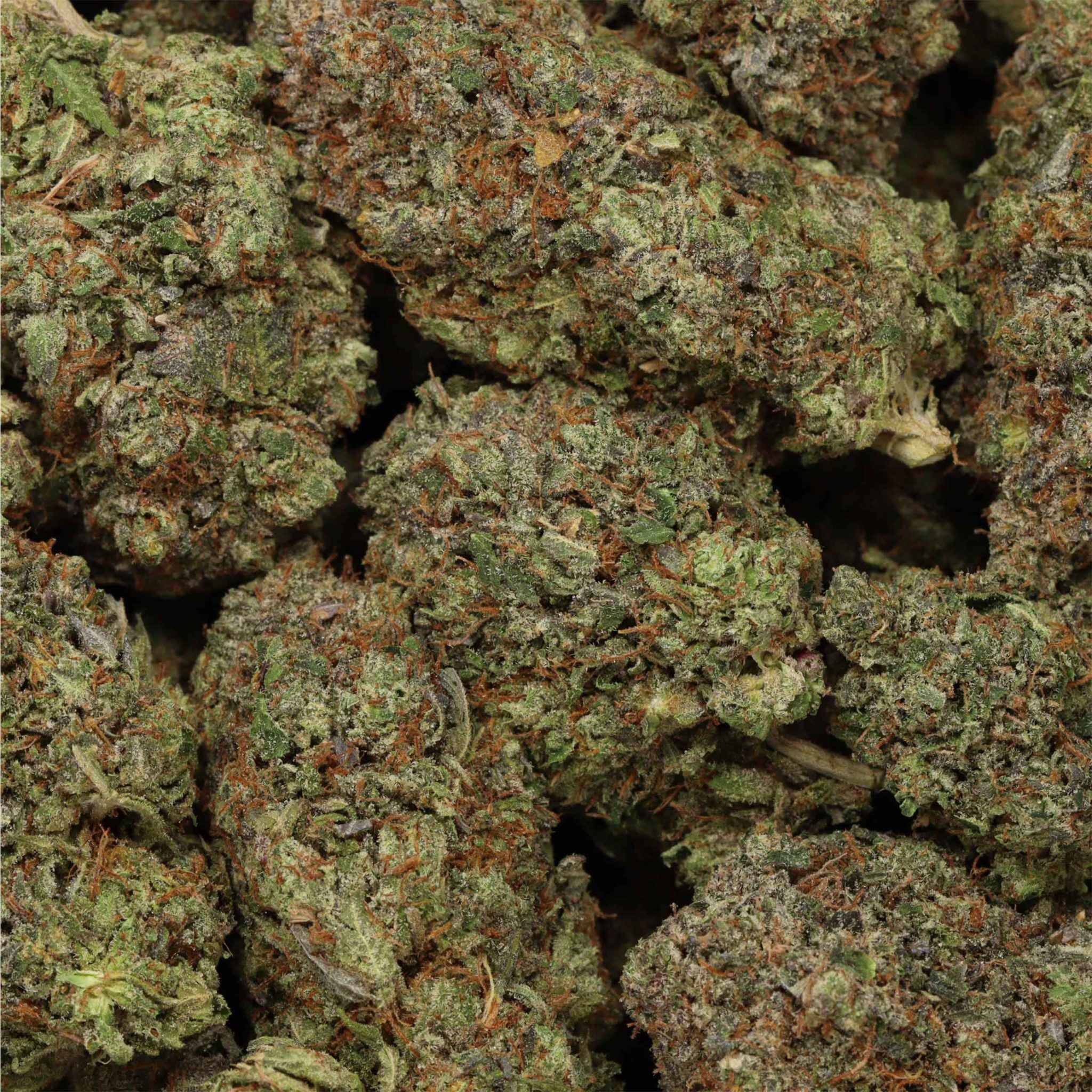 Pink Cookies Strain Craft Weed Bulk Buddy Online Dispensary Canada