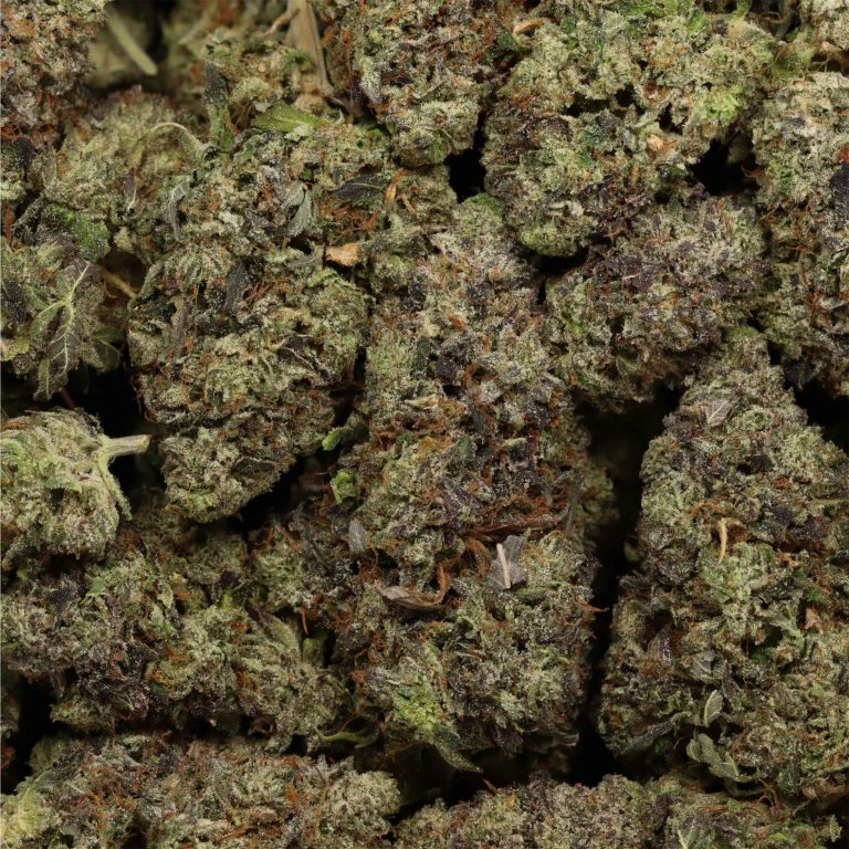 Blissful Wizard Strain Craft Weed Bulk Buddy Online Dispensary