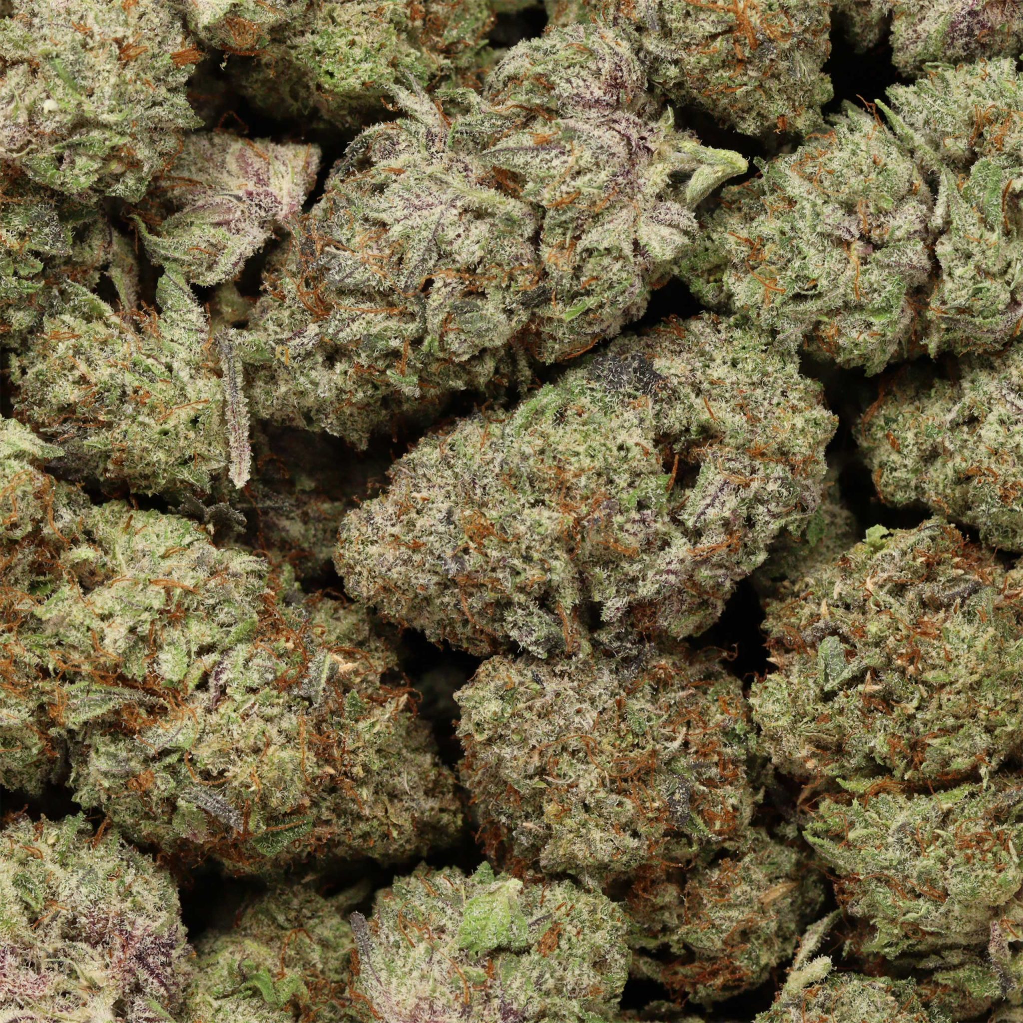 94 Octane Strain | Online Dispensary Canada | Bulk Buddy