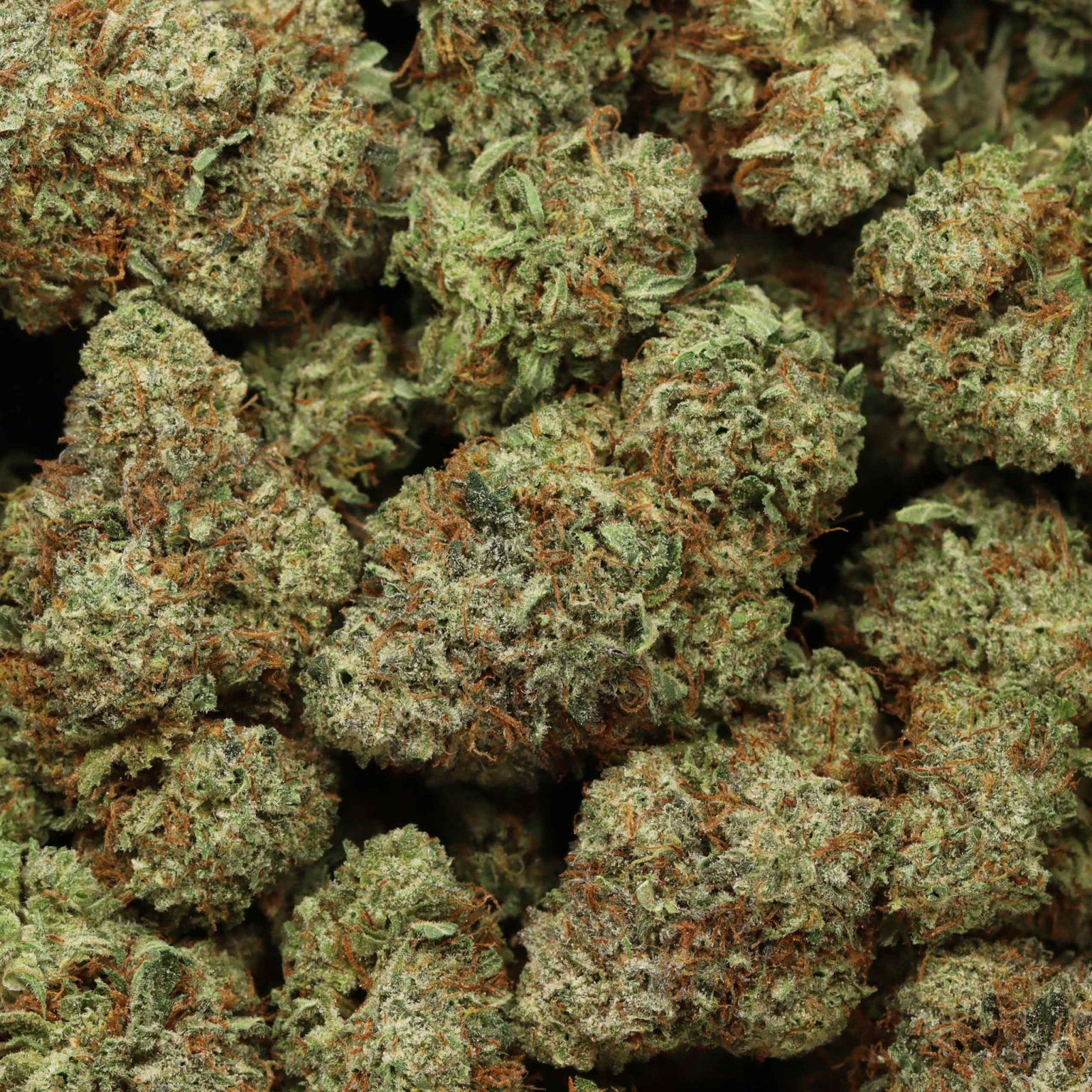 Black Mamba Strain | Online Dispensary Canada | Bulk Buddy