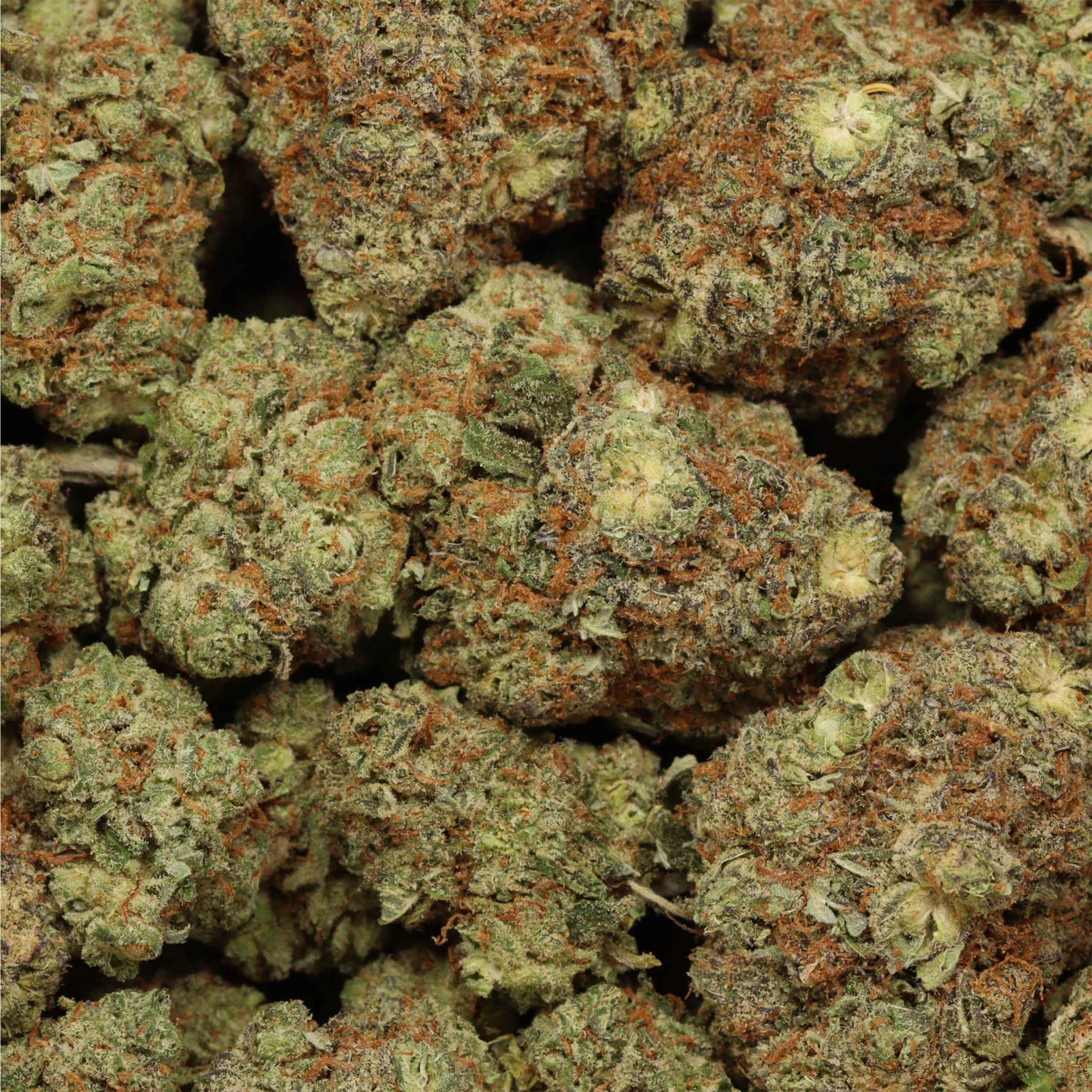 Blueberry AK Strain | Bulk Buddy | Online DIspensary Canada