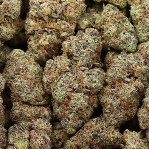 Bombsicle Strain Craft Weed | Bulk Buddy Online Dispensary
