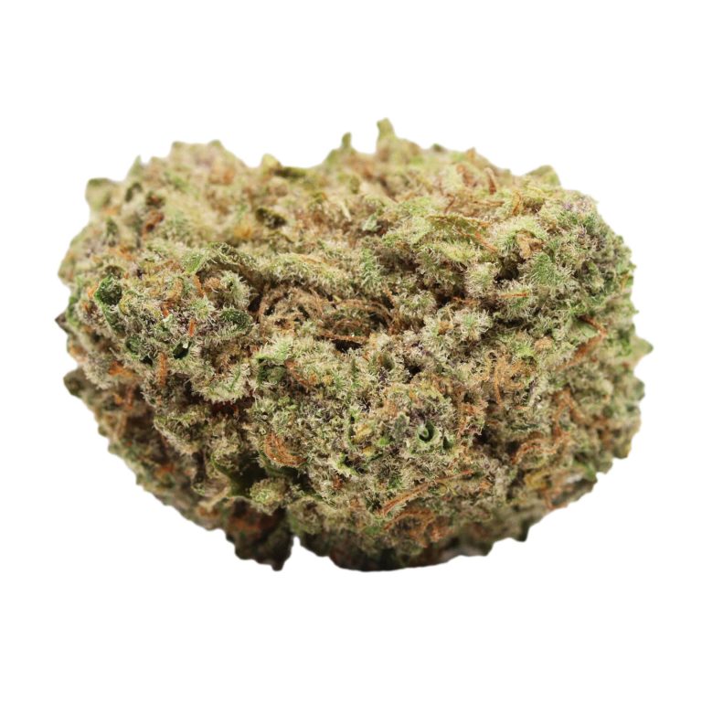 Candyland Strain | Online Dispensary Canada | Bulk Buddy | Wholesale Weed