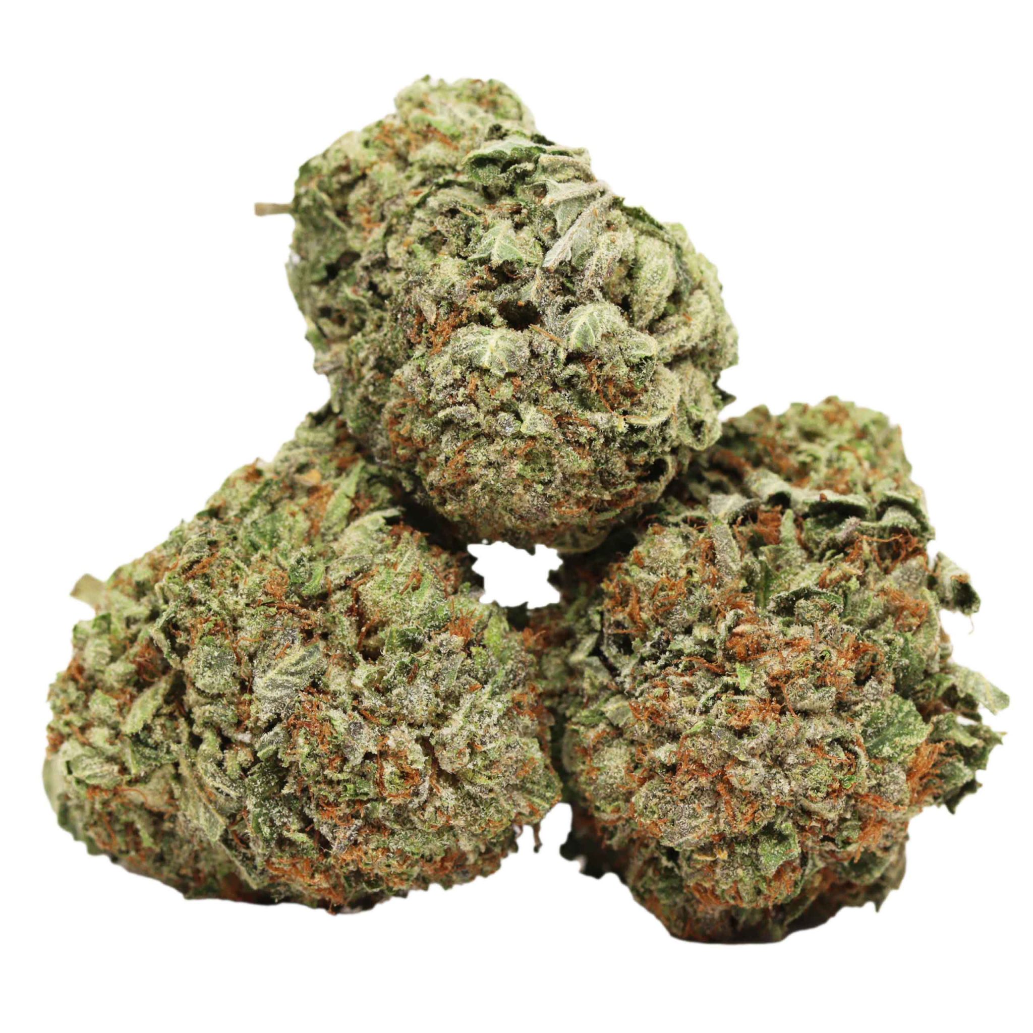 Pink Gas Strain | Bulk Buddy Weed | Online Dispensary Canada