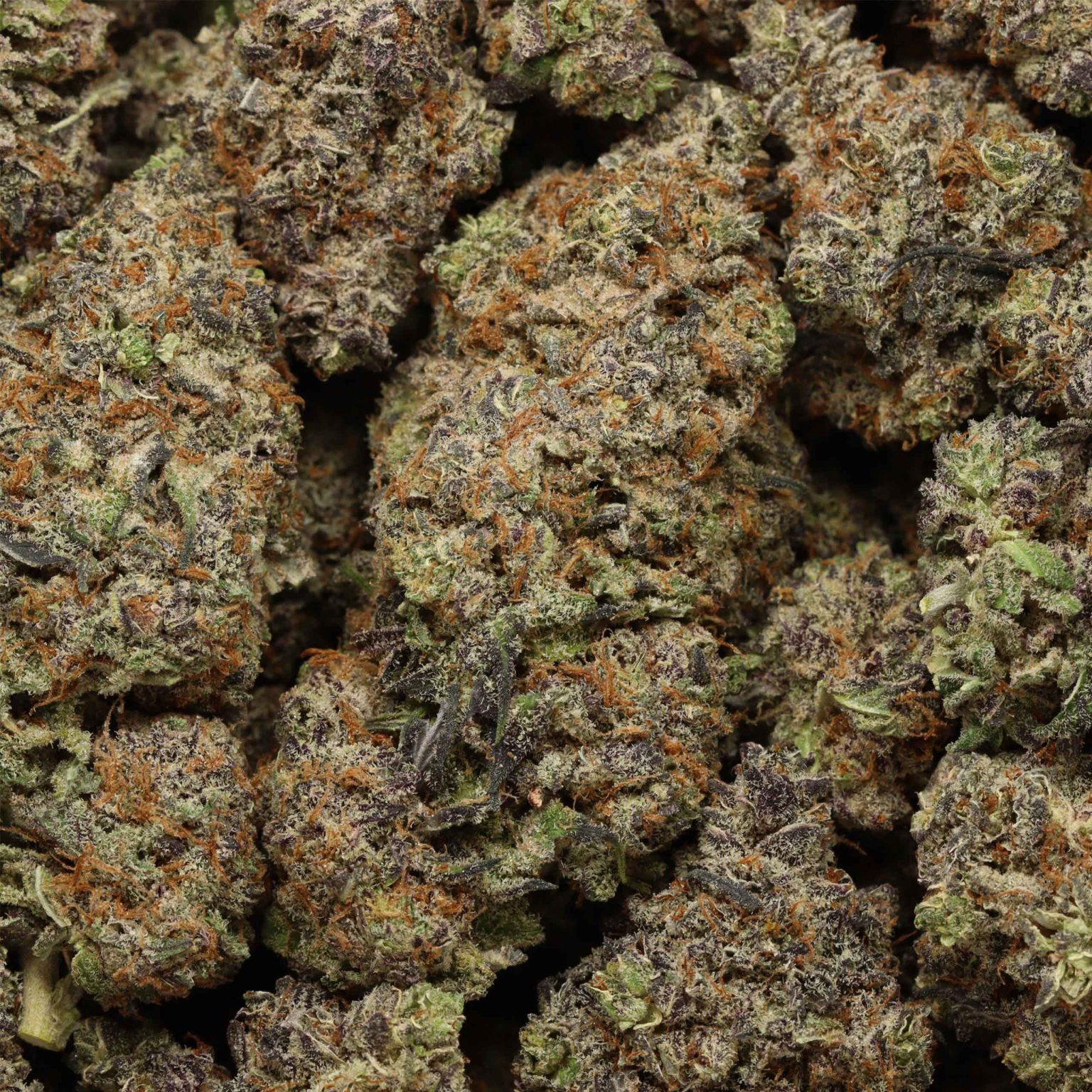 Pure Michigan Strain Craft | Bulk Buddy | Online Dispensary Canada