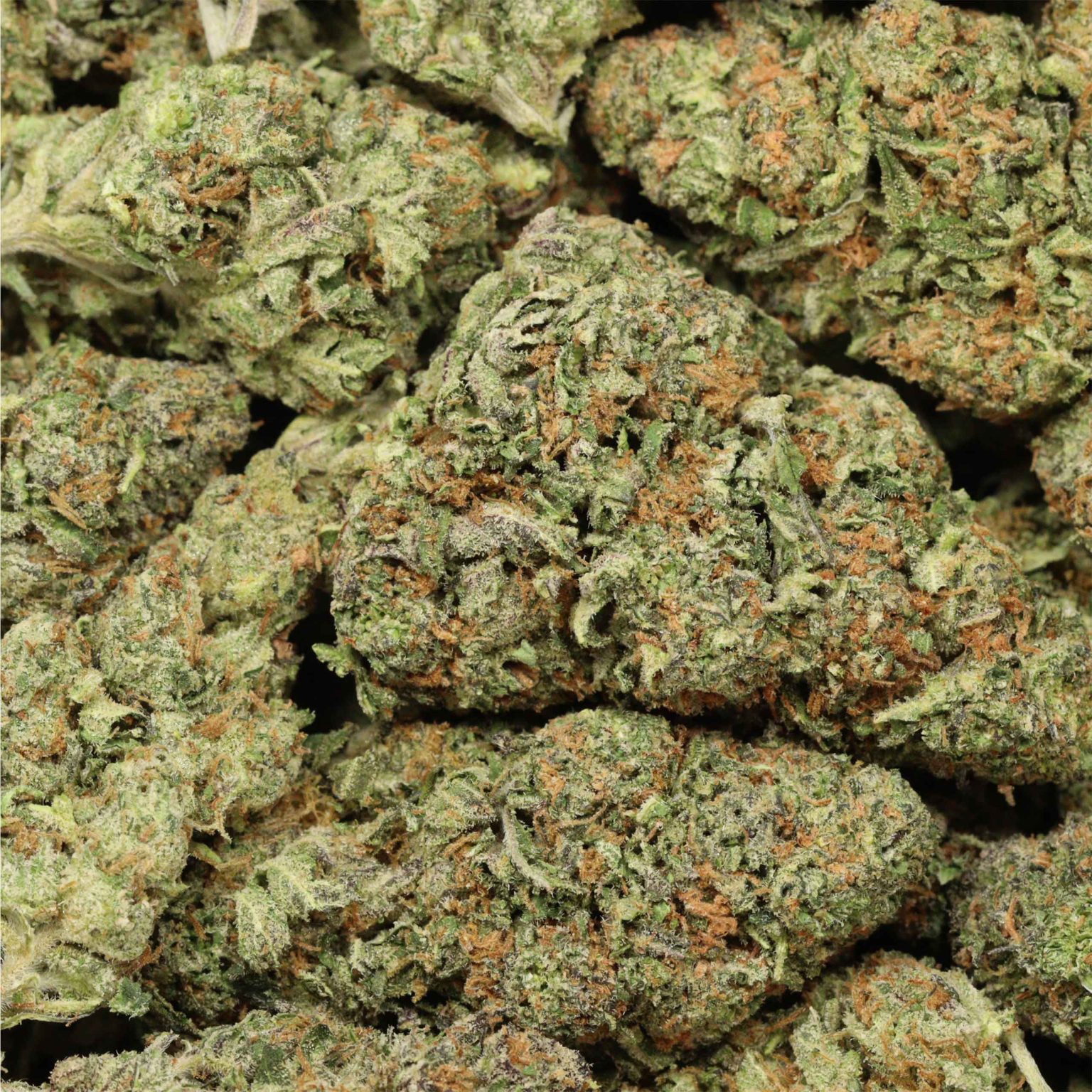 Purple Trainwreck Strain Bulk Buddy Online Dispensary Canada