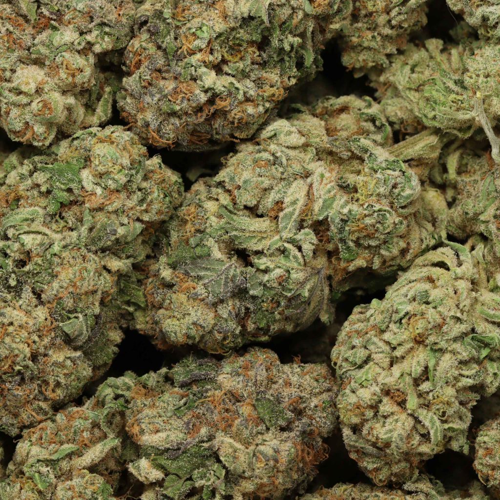 Red Congolese Strain | Bulk Buddy | Online Dispensary Canada