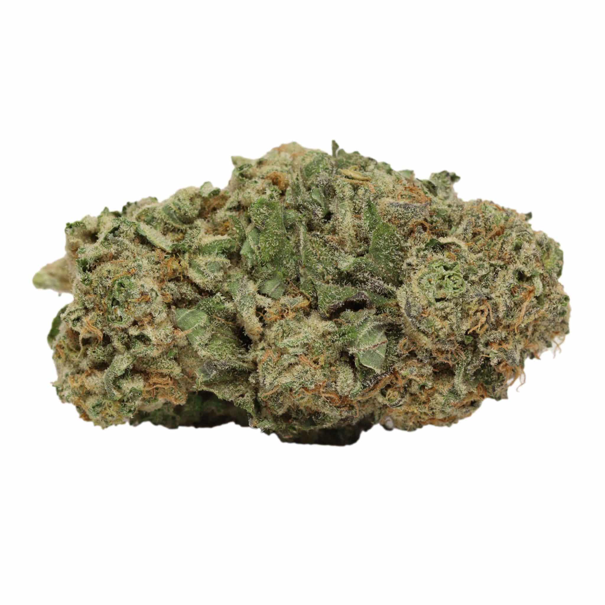 Red Congolese Strain | Bulk Buddy | Online Dispensary Canada