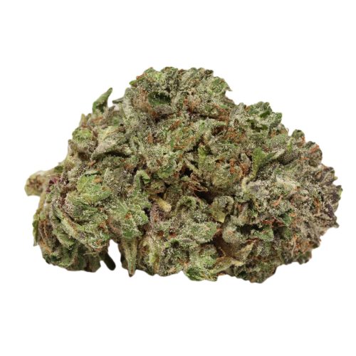 White Truffle Strain | Online Dispensary Canada | Bulk Buddy