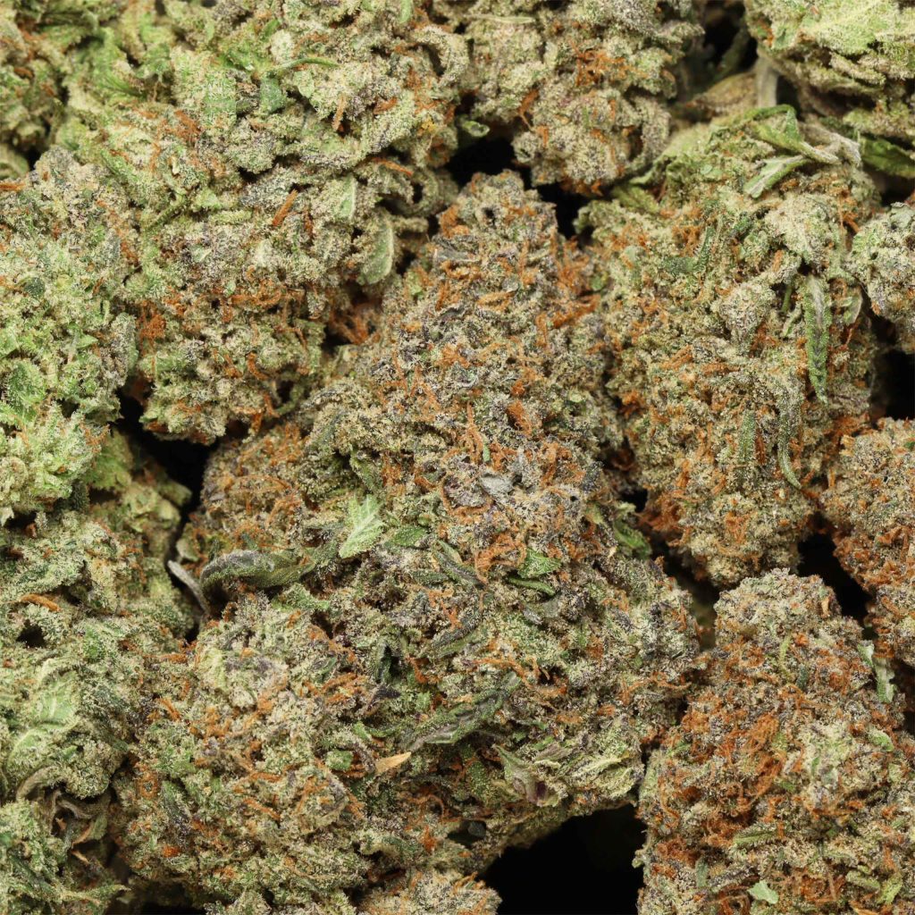 Alaskan Thunder Fuck Strain | Bulk Buddy Online Dispensary Canada