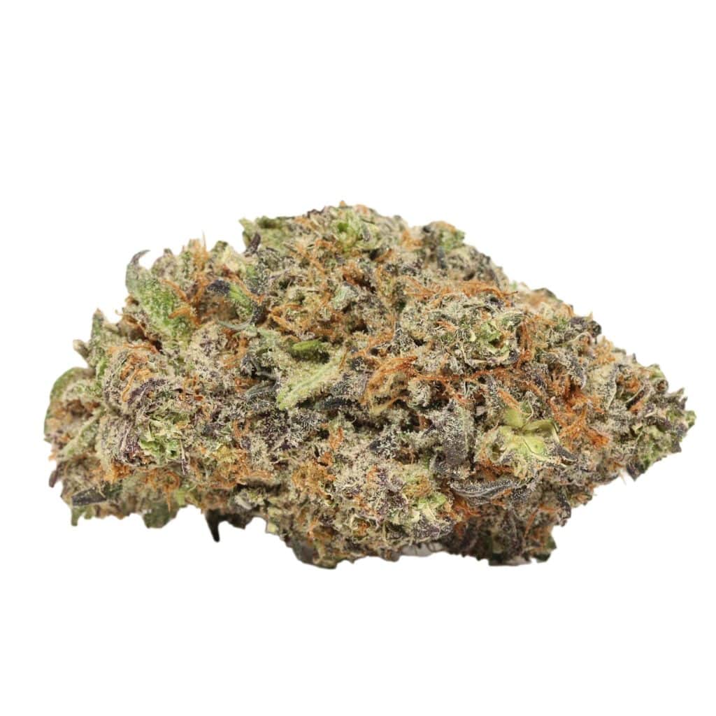 Gastro Pop Strain Craft Weed | Bulk Buddy Online Dispensary