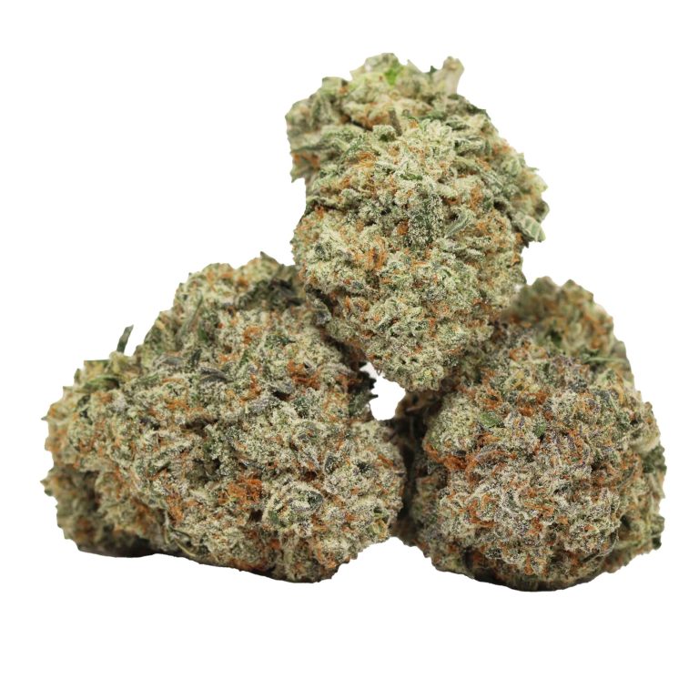 Grape Gasoline Strain | Bulk Buddy Online Dispensary Canada