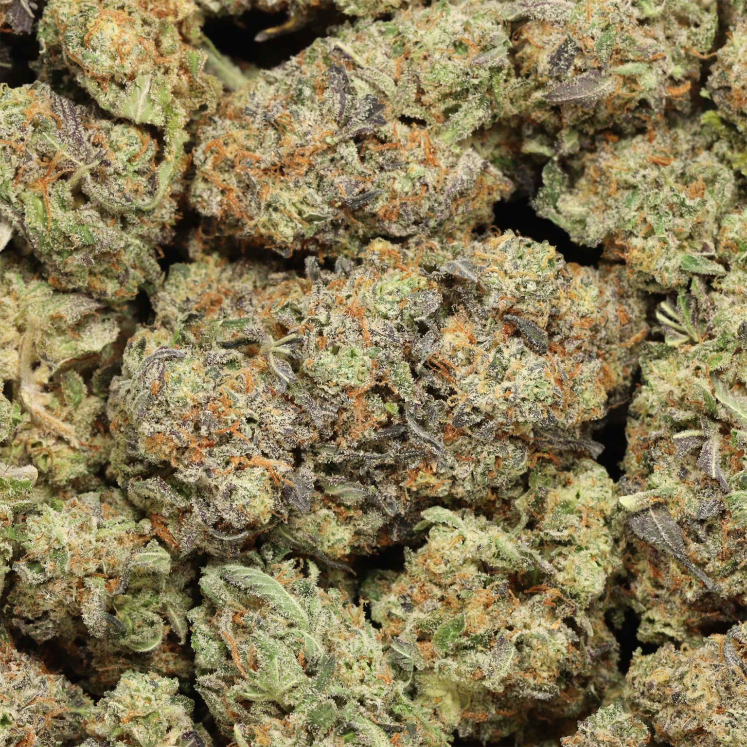 Pure Michigan Strain Craft | Bulk Buddy | Online Dispensary Canada