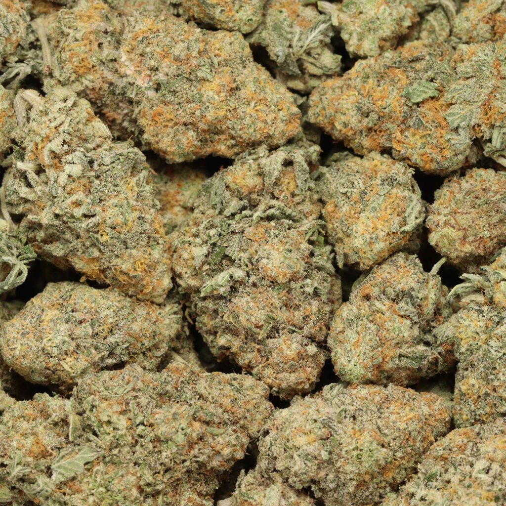 Alien Bubba Strain | Bulk Buddy Weed | Online Dispensary Canada