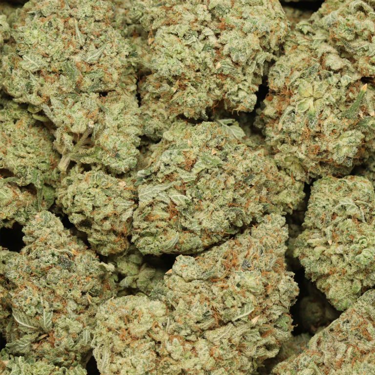 Gas Monkey Strain | Bulk Buddy Weed | Online Dispensary Canada
