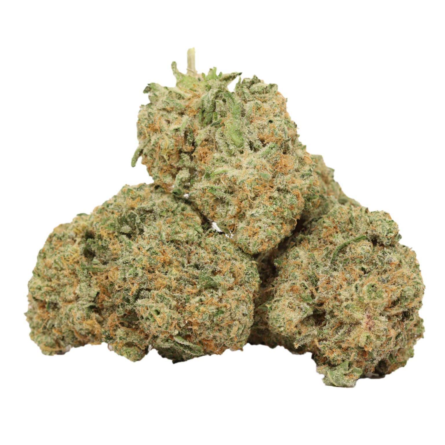 Tropicanna Banana Strain | Bulk Buddy Weed Online Dispensary Canada