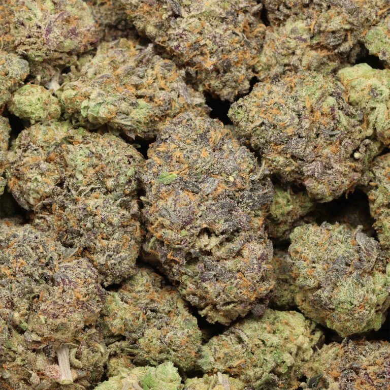 Tropicana Jet Fuel Strain | Bulk Buddy | Online Dispensary Canada