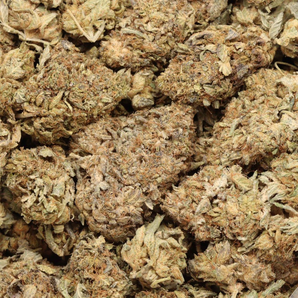 Sundae Float Strain | Bulk Buddy Weed | Online Dispensary Canada