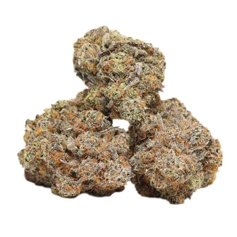 Grape Gasoline Strain | Bulk Buddy Online Dispensary Canada