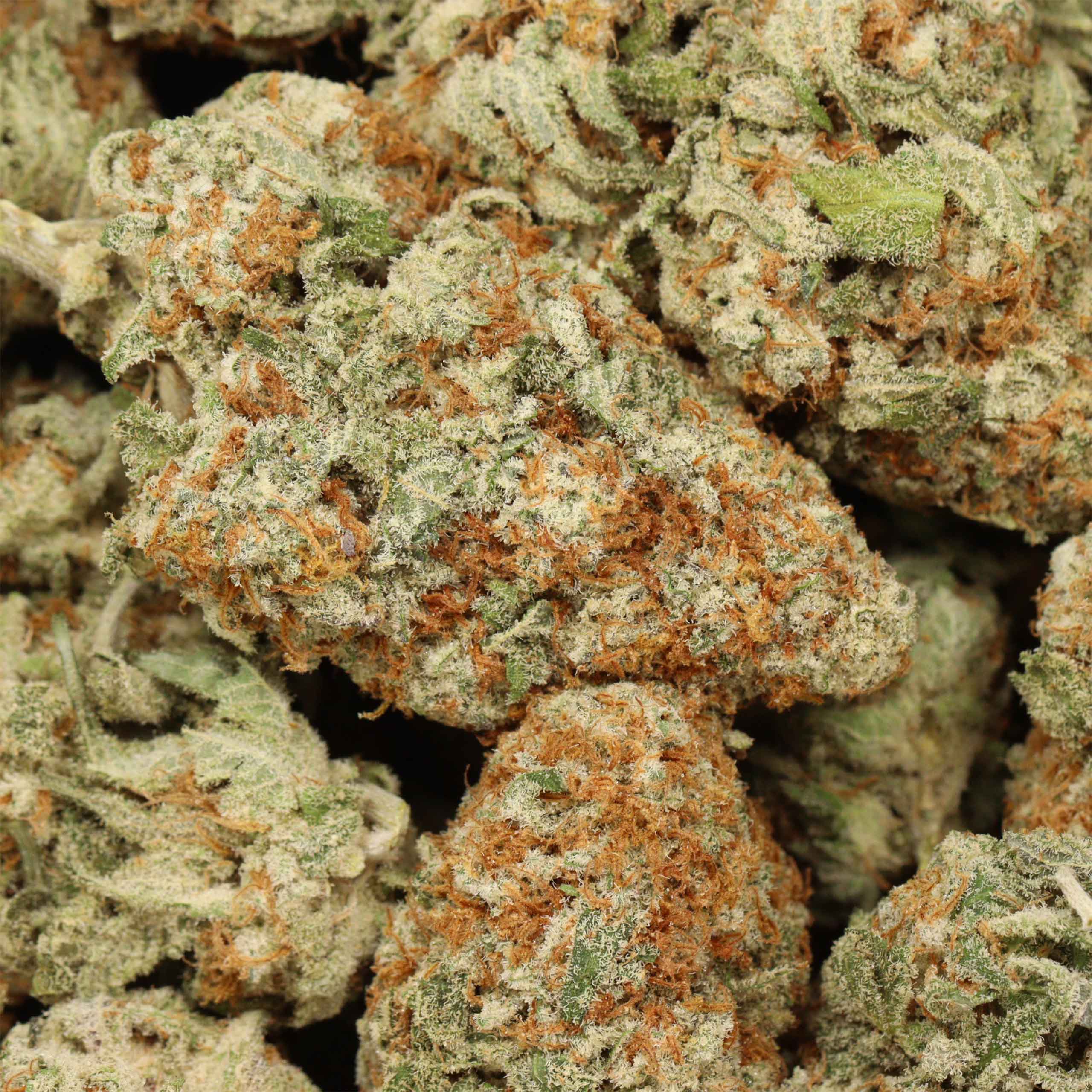 White wedding strain allbud 60 photos - Astyledwedding.com