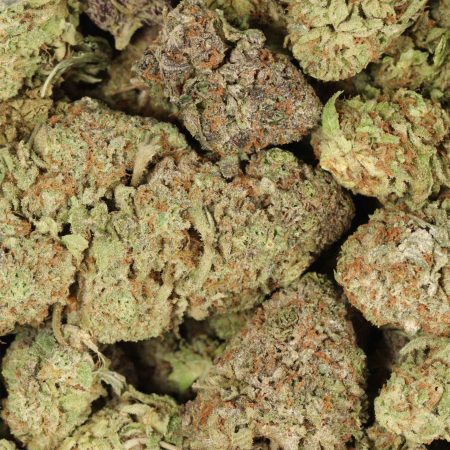 Forum Cut Cookies Strain Bulk Buddy Online Dispensary Canada
